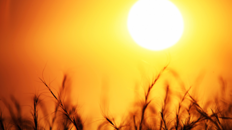 Consejos para sobrellevar la ola de calor - Infoaventura